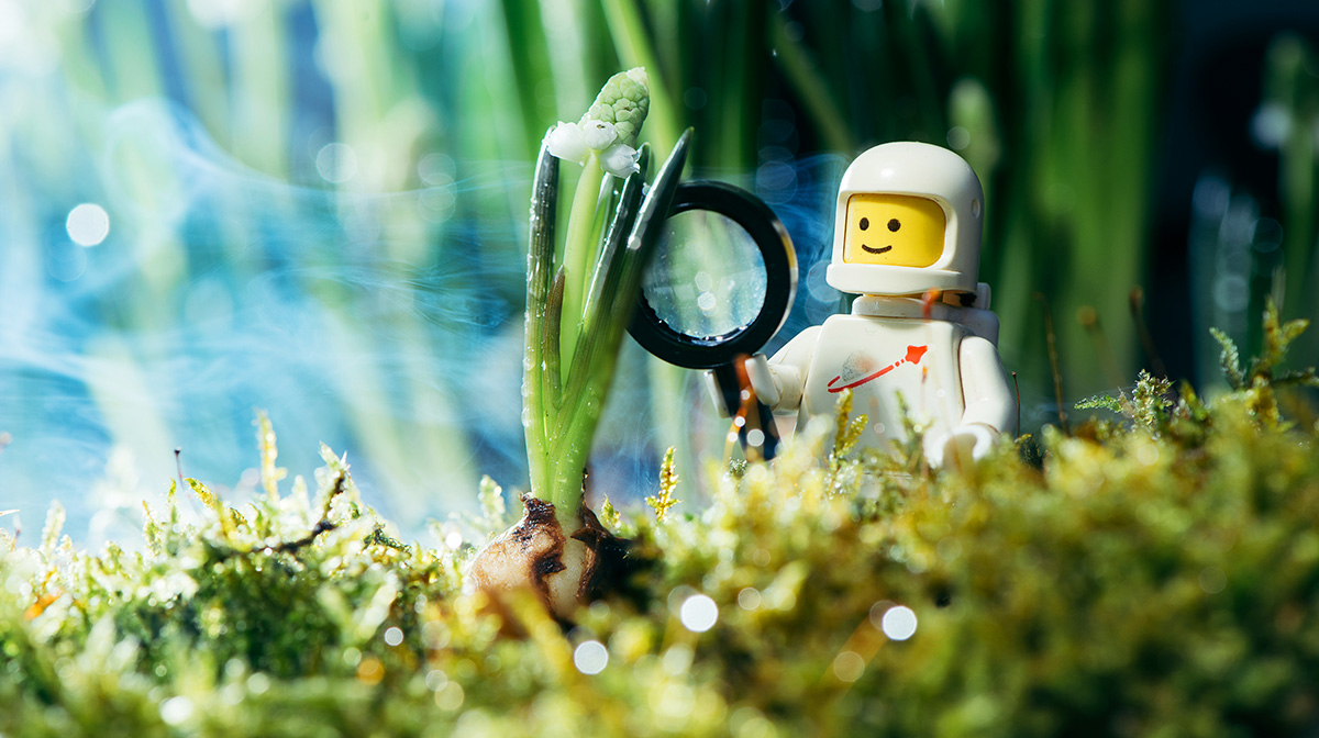 Brick Photo fan exhibition in LEGO® House